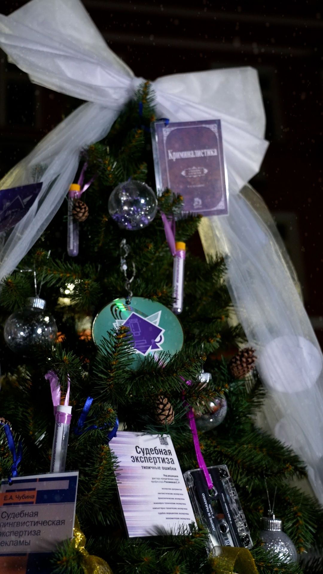 Новогодняя ёлка Института судебных экспертиз Университета имени О.Е. Кутафина (МГЮА)