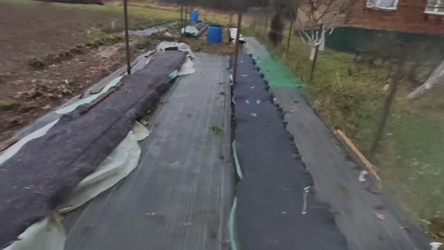 Укрытие винограда зимнее сухое