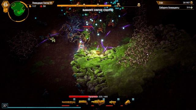 Ликвидация, Сектор 4, Ветвистая лощина, Опасность 4