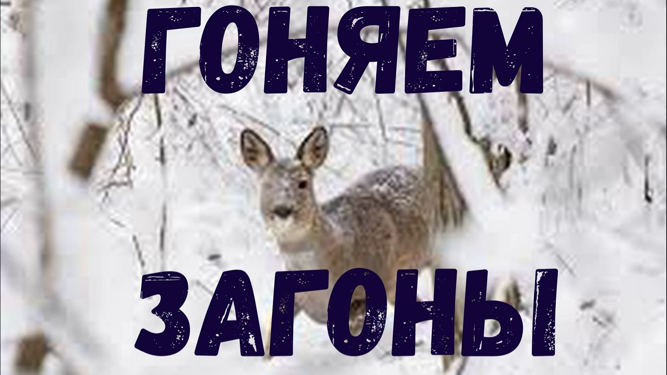 Особенности Национальной Охоты. Сибирский вариант.