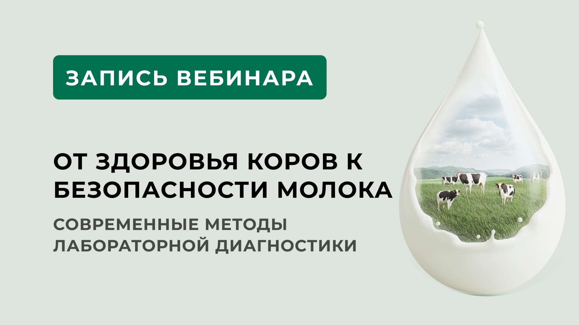Современные методы лабораторной диагностики от здоровья коров к безопасности молока