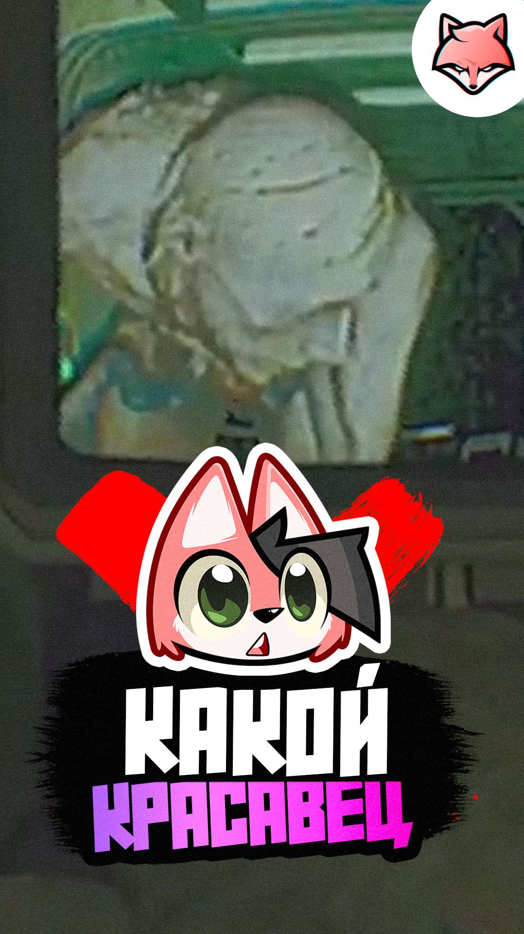 Смотри какой красивый. Забавный момент из игры Routine #thelisris #лисрис #games #fun #vtuber