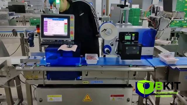 Он-лайн-весы (чеквейер) с принтер-аппликатором (этикетировщиком) с металлдетектором