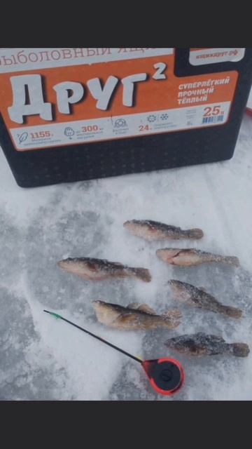 Немного порыбачил на Старице🎣 Наживка пучок мотылей. Пару лунок. Рыбачил не долго.