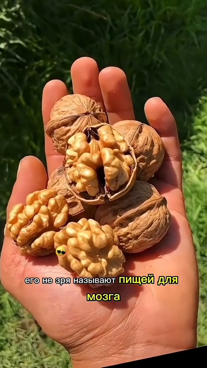 Самые полезные орехи в мире 🫶😼😎