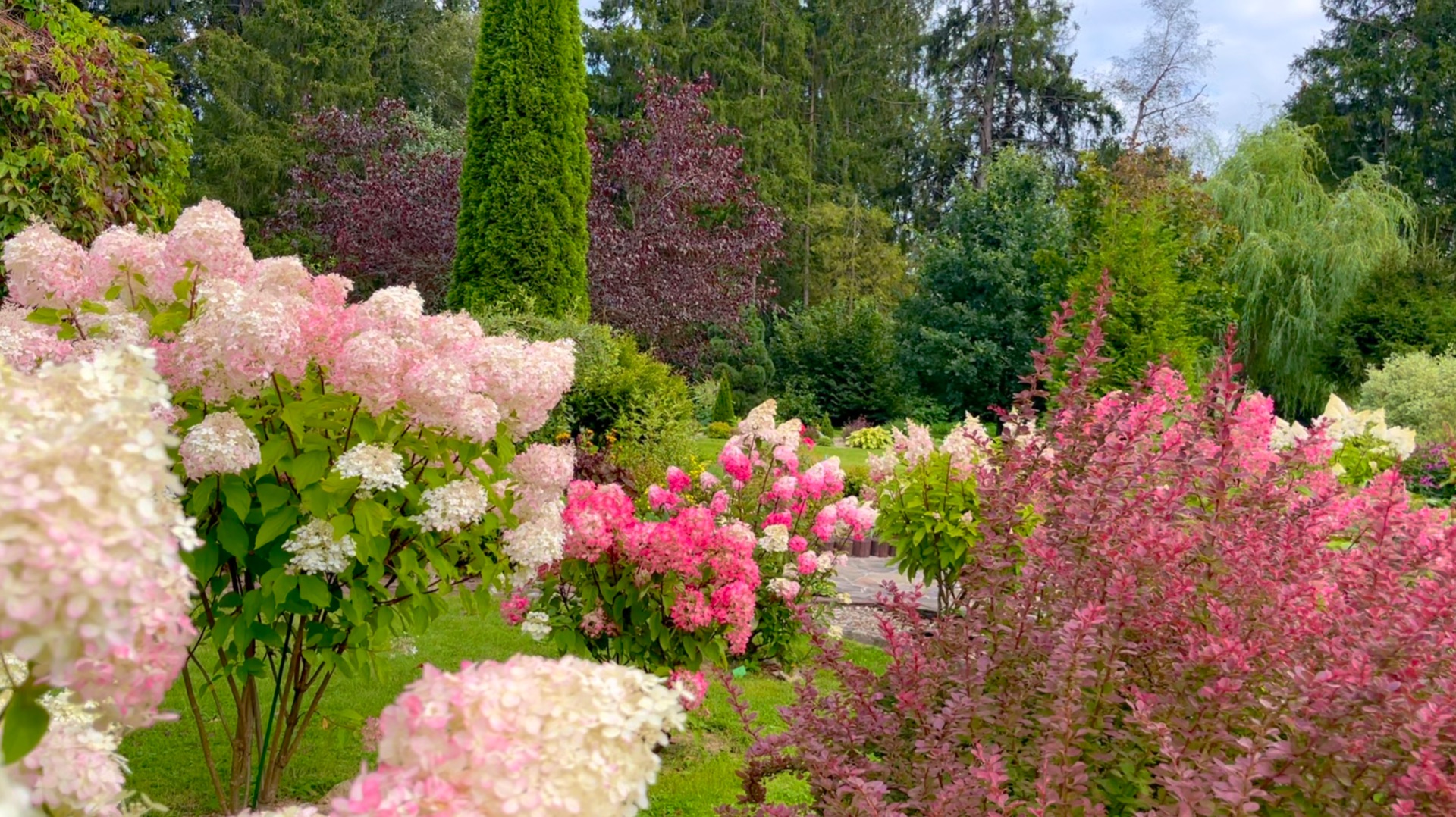 Сад во второй половине августа. Панорамно и крупным планом.