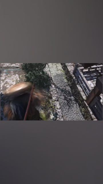 Ты что застлял - Assassin Creed Shadows