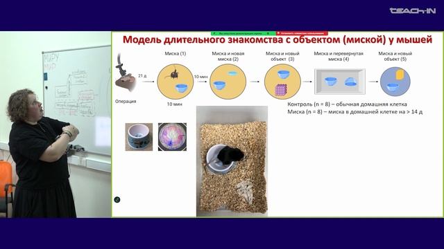 Ивашкина О.И. - Конференция ИПИМ МГУ - 5. В поисках когнитивной специализации нервных клеток