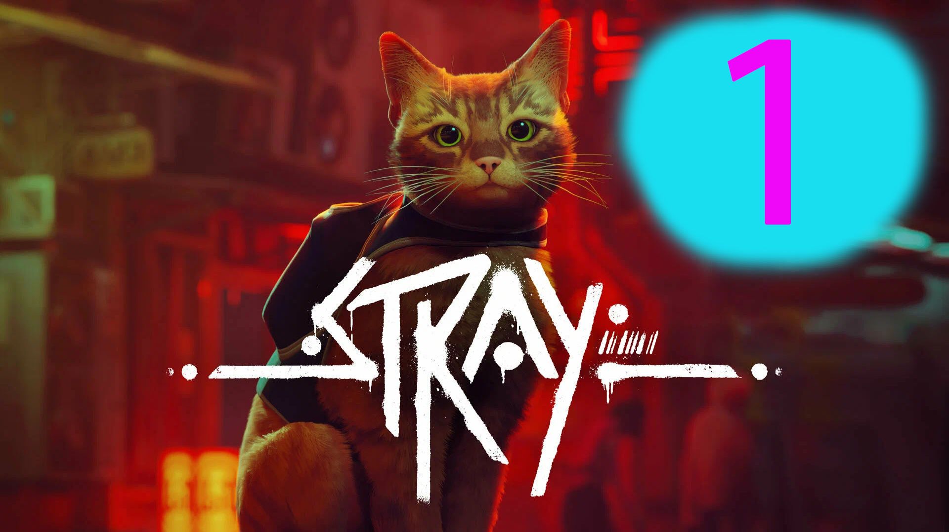 Stray  №1