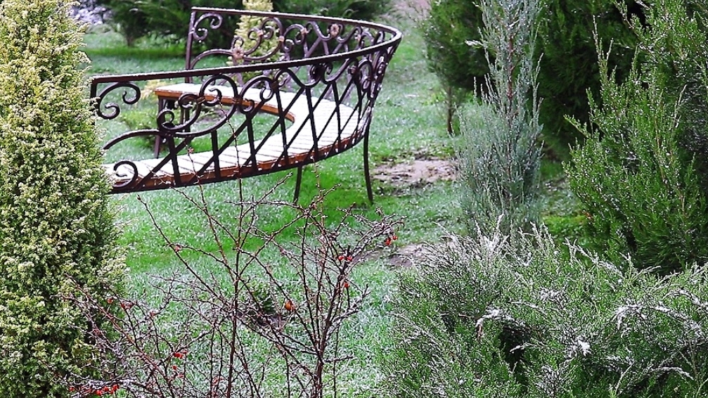 НУ ВОТ И ЗАКАНЧИВАЕТСЯ 2025 ГОД. 21.12.2025г.