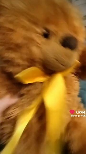 видео с likee 5