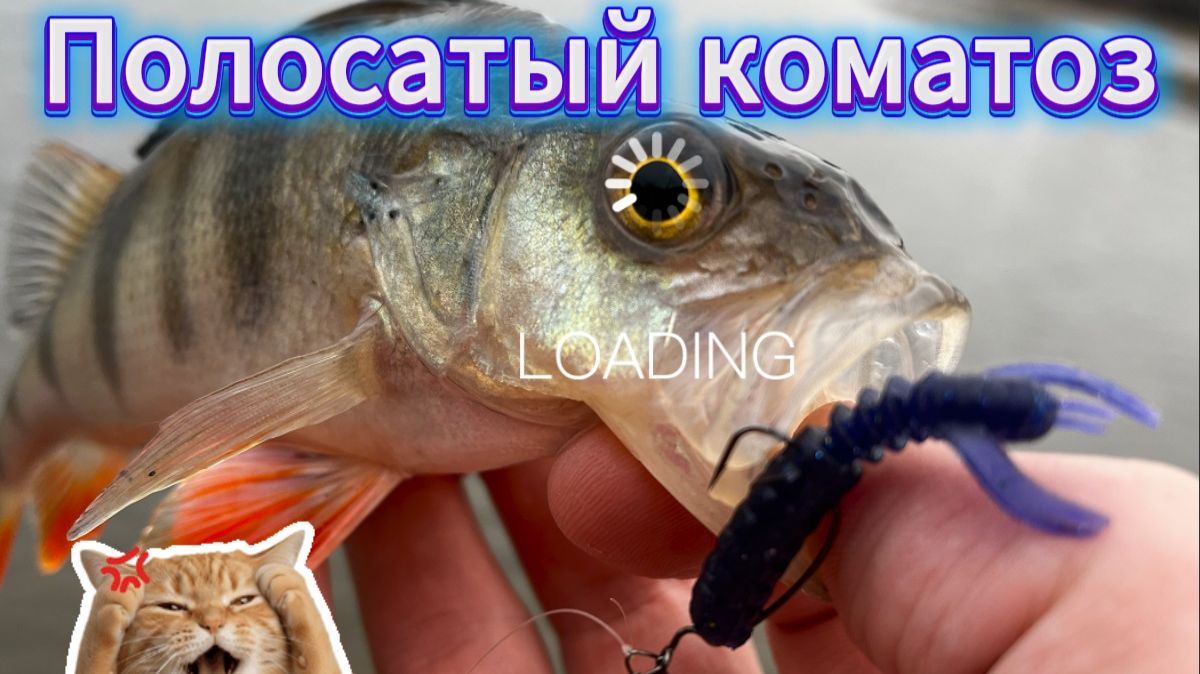 Зимний спиннинг. Рыбалка в декабре