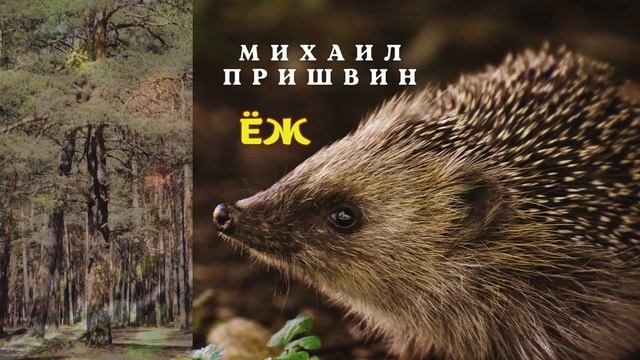 Михаил Пришвин Еж