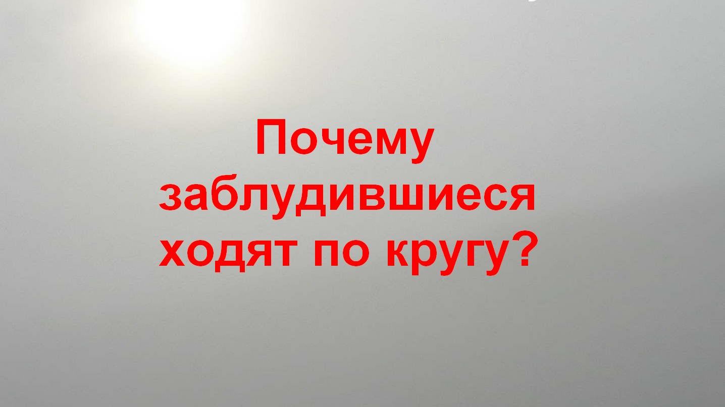 Почему заблудившиеся ходят по кругу?