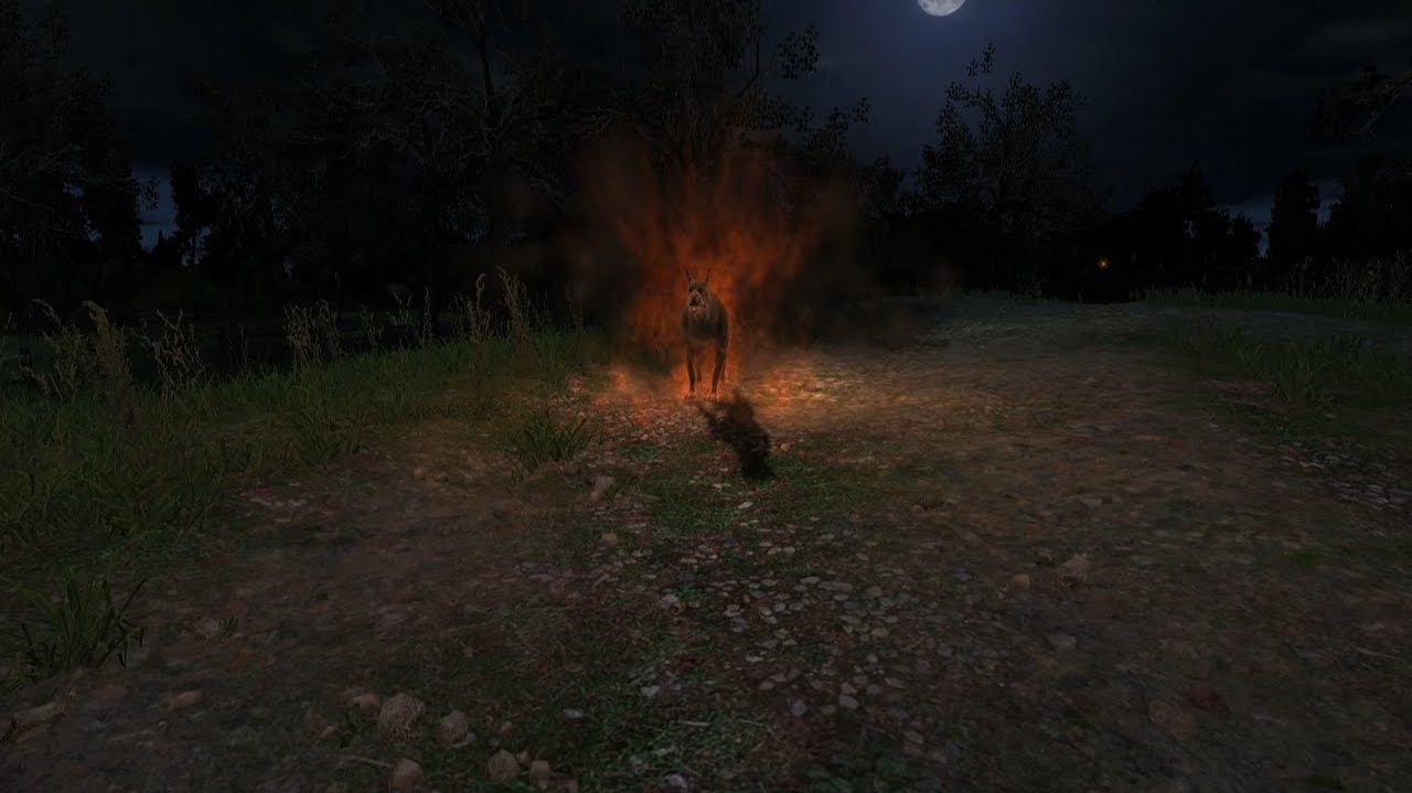 The Witcher / Ведьмак #3