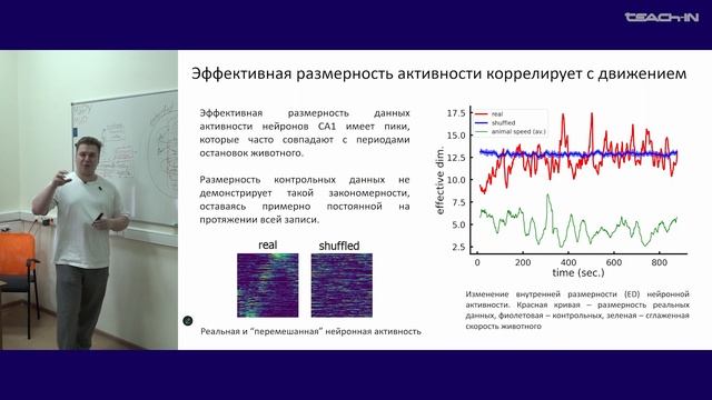 Поспелов Н.А. - Конференция ИПИМ МГУ - 4. Новые подходы к анализу кальциевой активности нейронов