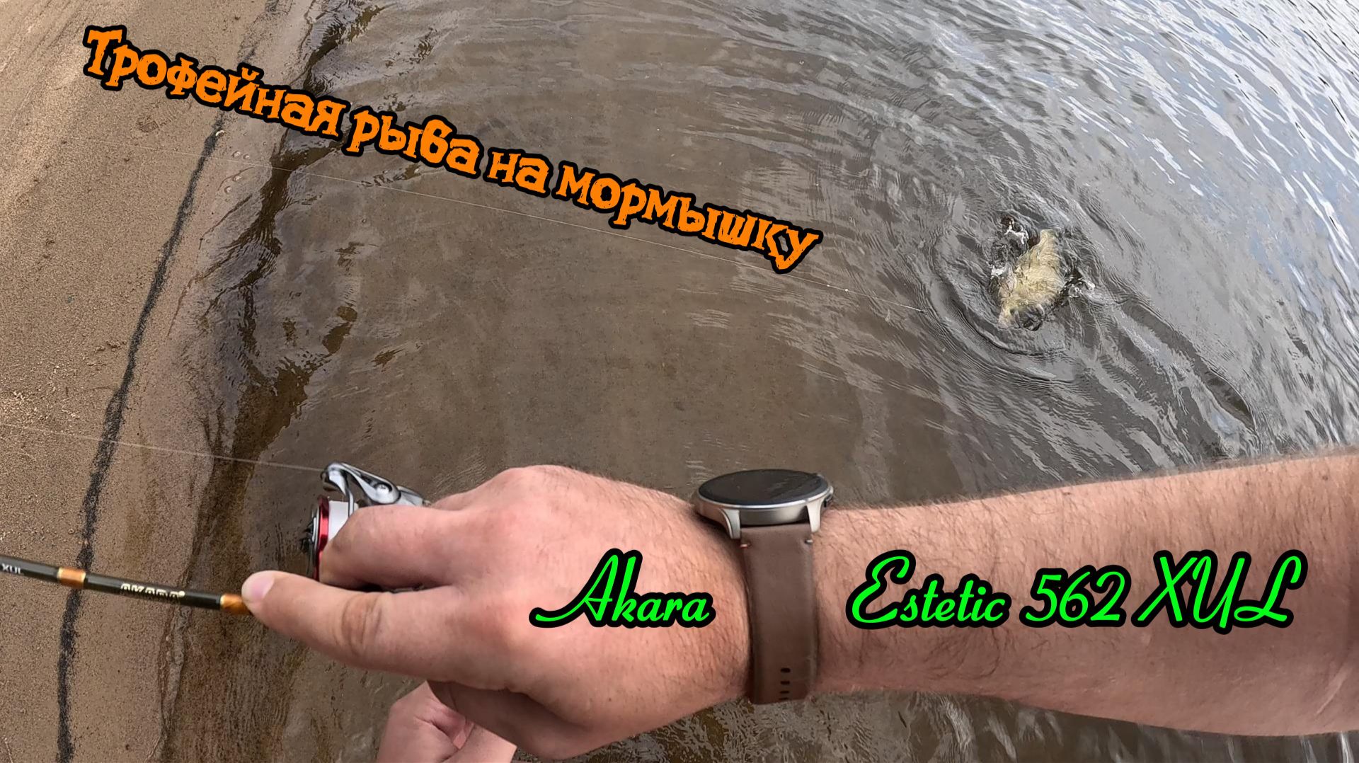 Трофейная рыба на мормышку. Спиннинг Akara Estetic 562 XUL