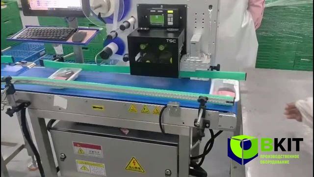 Он-лайн-весы (чеквейер) с принтер-аппликатором (этикетировщиком) с металлдетектором