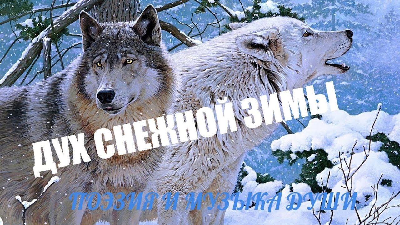 ДУХ СНЕЖНОЙ ЗИМЫ. Автор стихотворения А .Соколов. Автор видео В. Голикова.