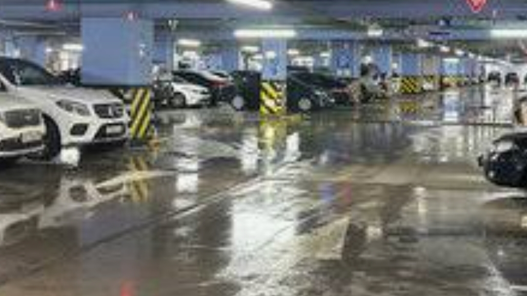 миска и Ваня нашли парковку под землёй и пытаются в неё пройти часть 1