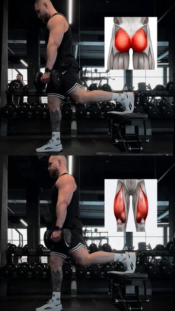 Болгарские виды