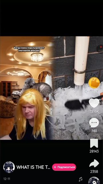 типо отношения