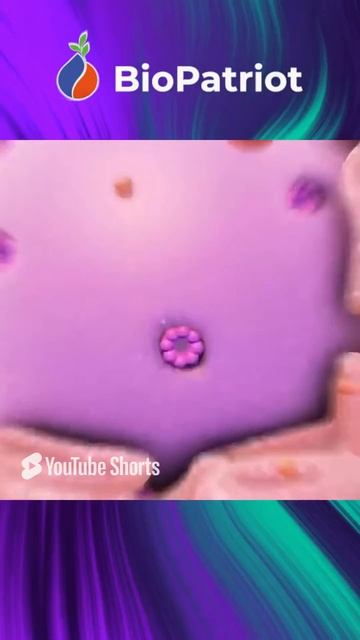 АЛЬТЕРНАТИВНЫЙ КЛЕТОЧНЫЙ МЕТАБОЛИЗМ