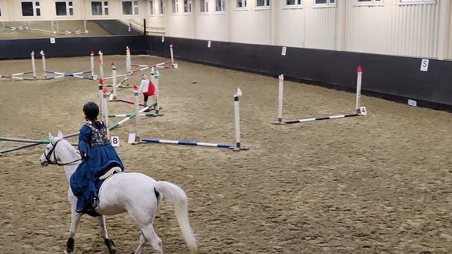 Выступления: Картавенко, Зильбер, Казбекова, Бужинская, Горб, Яшкова