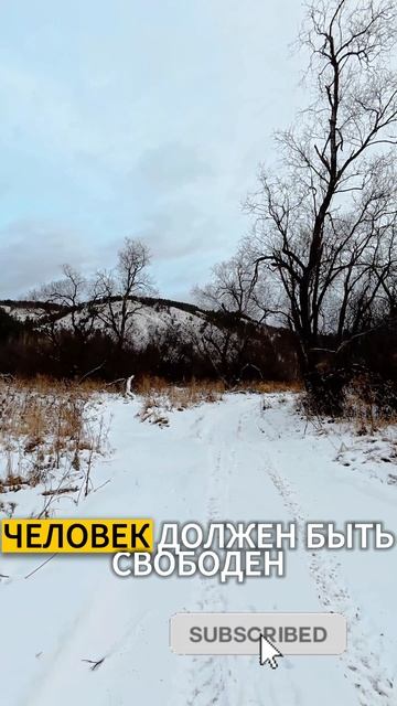 Сибирь Тайга природа Есауловская петля