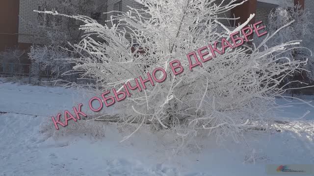 КАК ОБЫЧНО В ДЕКАБРЕ - Жанна Вишнякова Арс