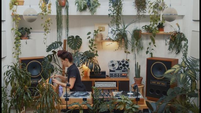 Acid Jazz Through the Walls with Lily London