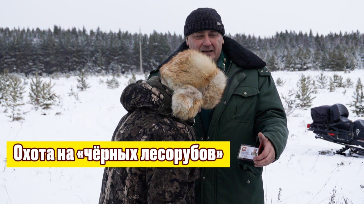 На Южном Урале лесная охрана перешла на особый режим