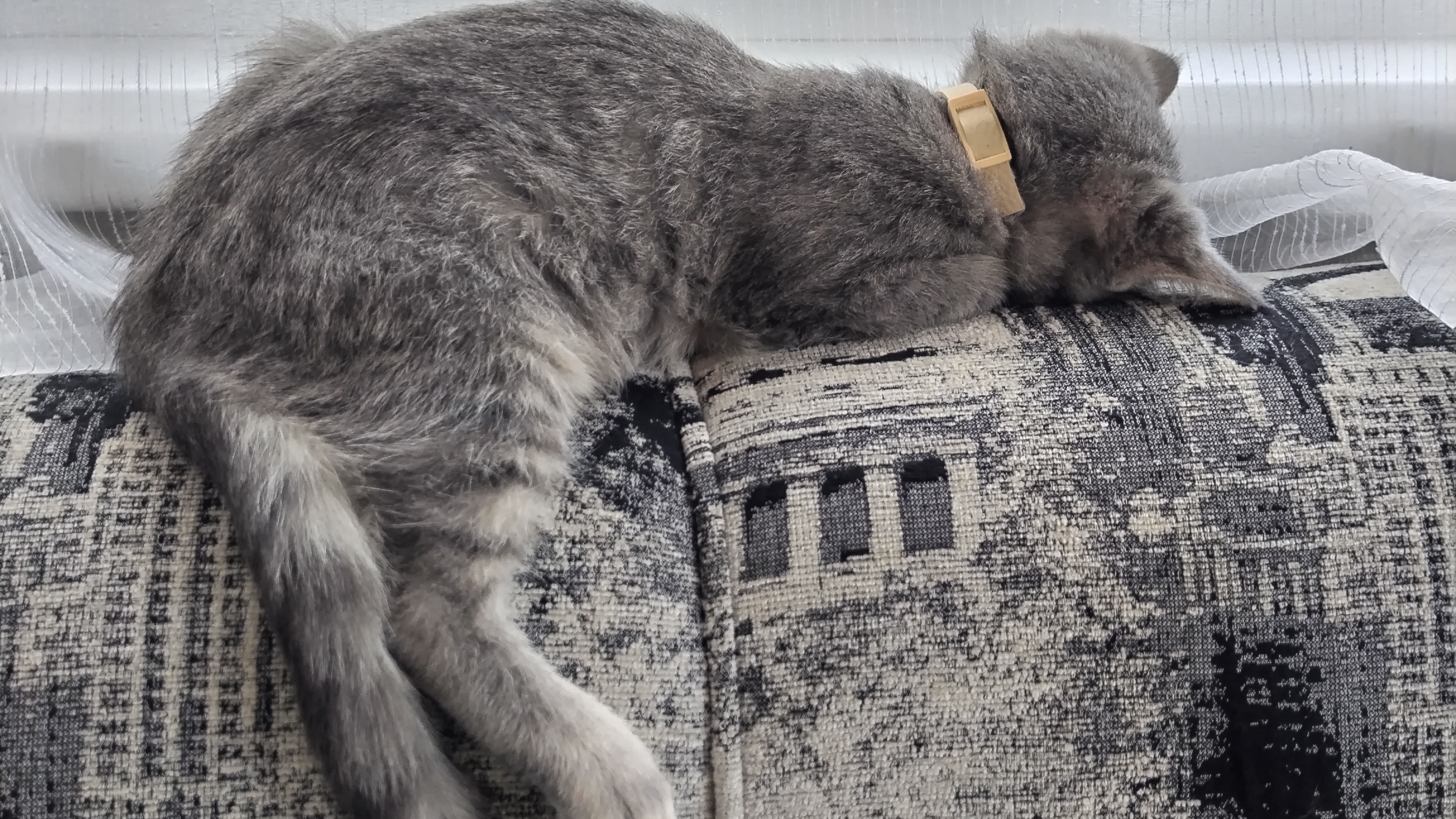 Влог с 15-21.12.25 На работе с каждым днём всё жарче 😁