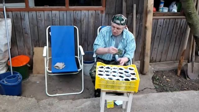 Какие огурцы самые лучшие для посадки в теплицу.