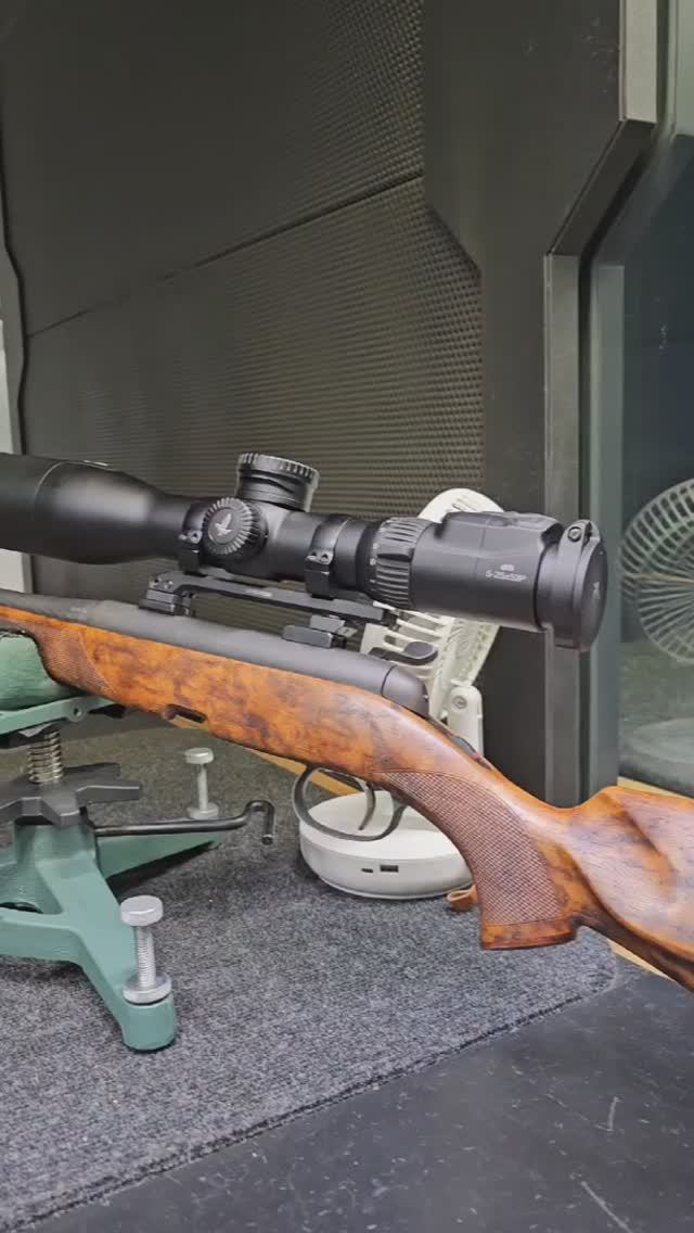 сваровски DS на апель