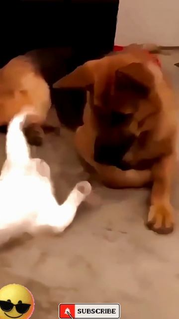 В Понедельник Я С Тобой 😼🫶😎