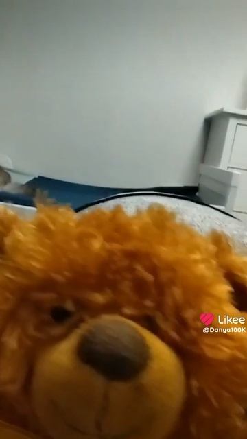 видео с likee 6