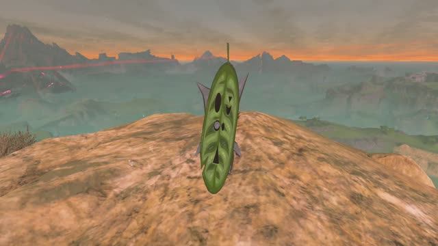 Корок на вершине