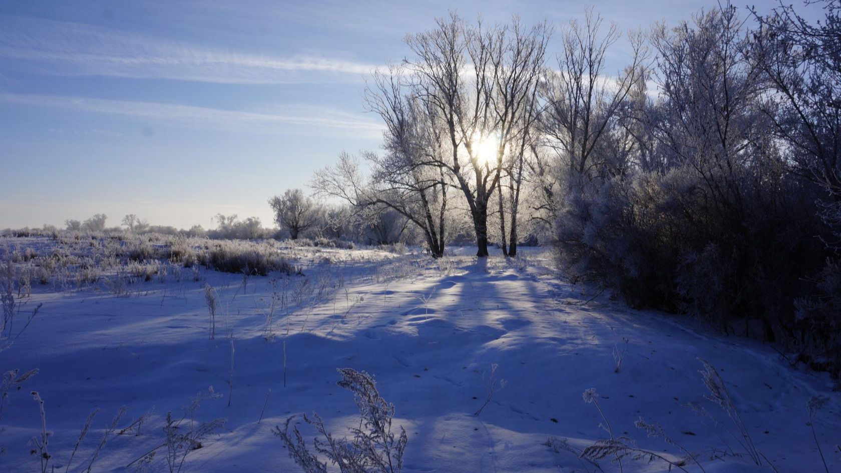 Зимняя сказка (С. Крылов) разбор на гармони №-439 с цифрами