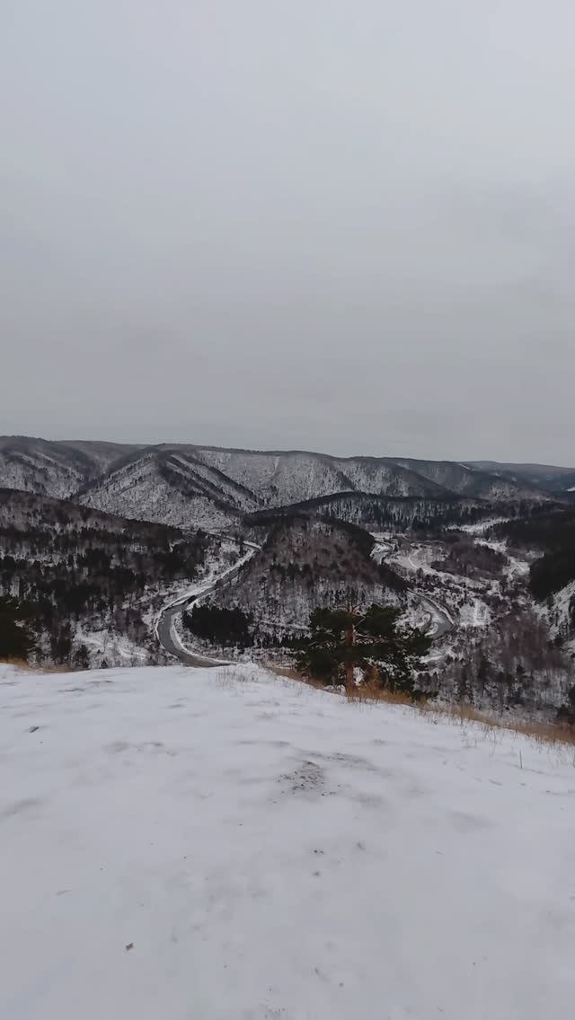 Жириновский природа Сибирь Тайга Есауловская петля