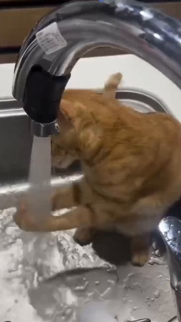 Не могу друзья родные я жажду утолить!