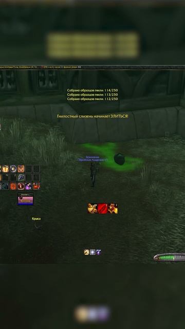 World of Warcraft Борьба со слизнями Ты всегда мой друг Оркус я паладин а чего добился ты