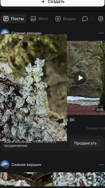 Telegram → VK Кросспостинг Бот