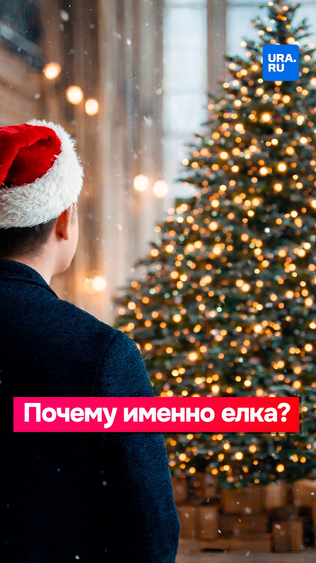 Почему именно елка — символ Нового года?