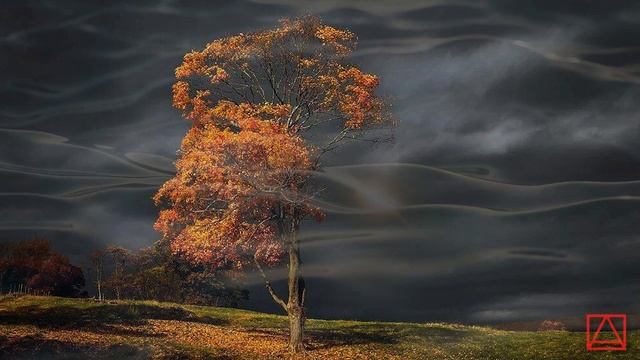 Св. Кассиан Римлянин Десять собеседований отцов ч54