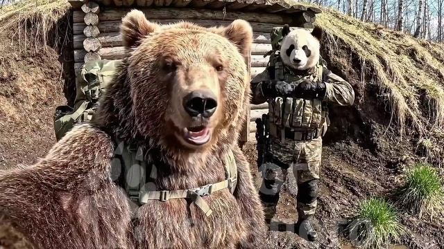 🔵Михалыч и Потапыч - «Новый Компаньон».🔵(12 серия).