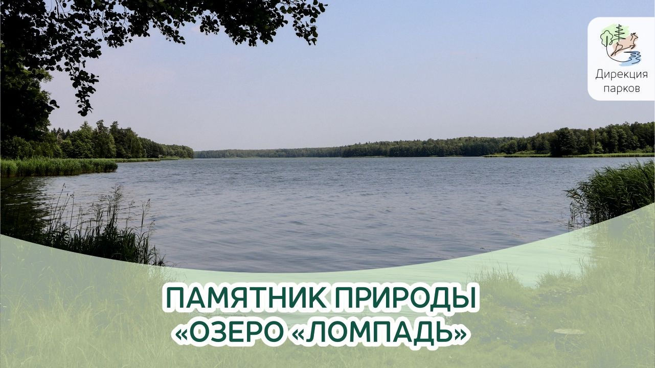 Памятник природы «Озеро «Ломпадь» с прилегающими угодьями» (ООПТ)