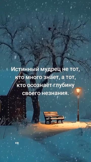 мысли #цитаты #katyboro #афоризмы #топ #рек #shortvideo #short #shorts #viralshort #умныемысли