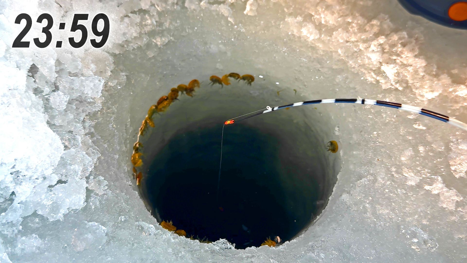 Опустил мормышку на старом месте, А ОН ПОДНЯЛ КИВОК И НАЧАЛСЯ НОЧНОЙ КЛЁВ! Зимняя рыбалка 2025