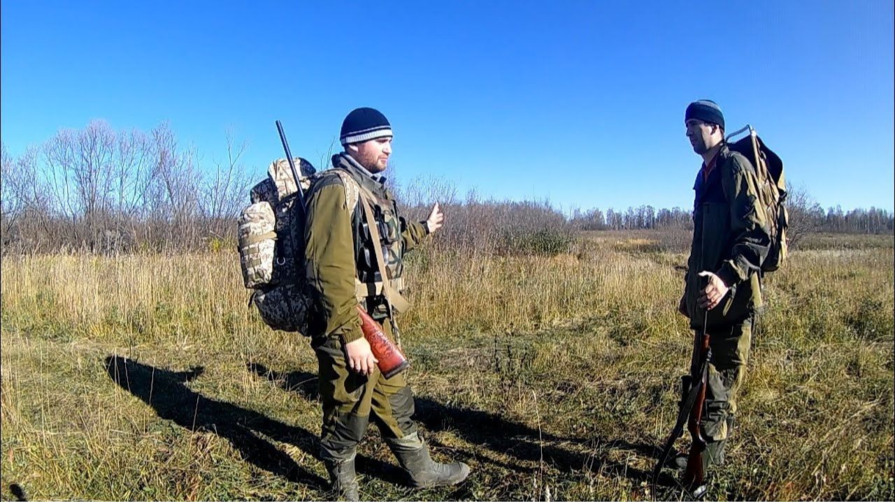 Поход на избушку в лес. Охота на тетерева и рябчика